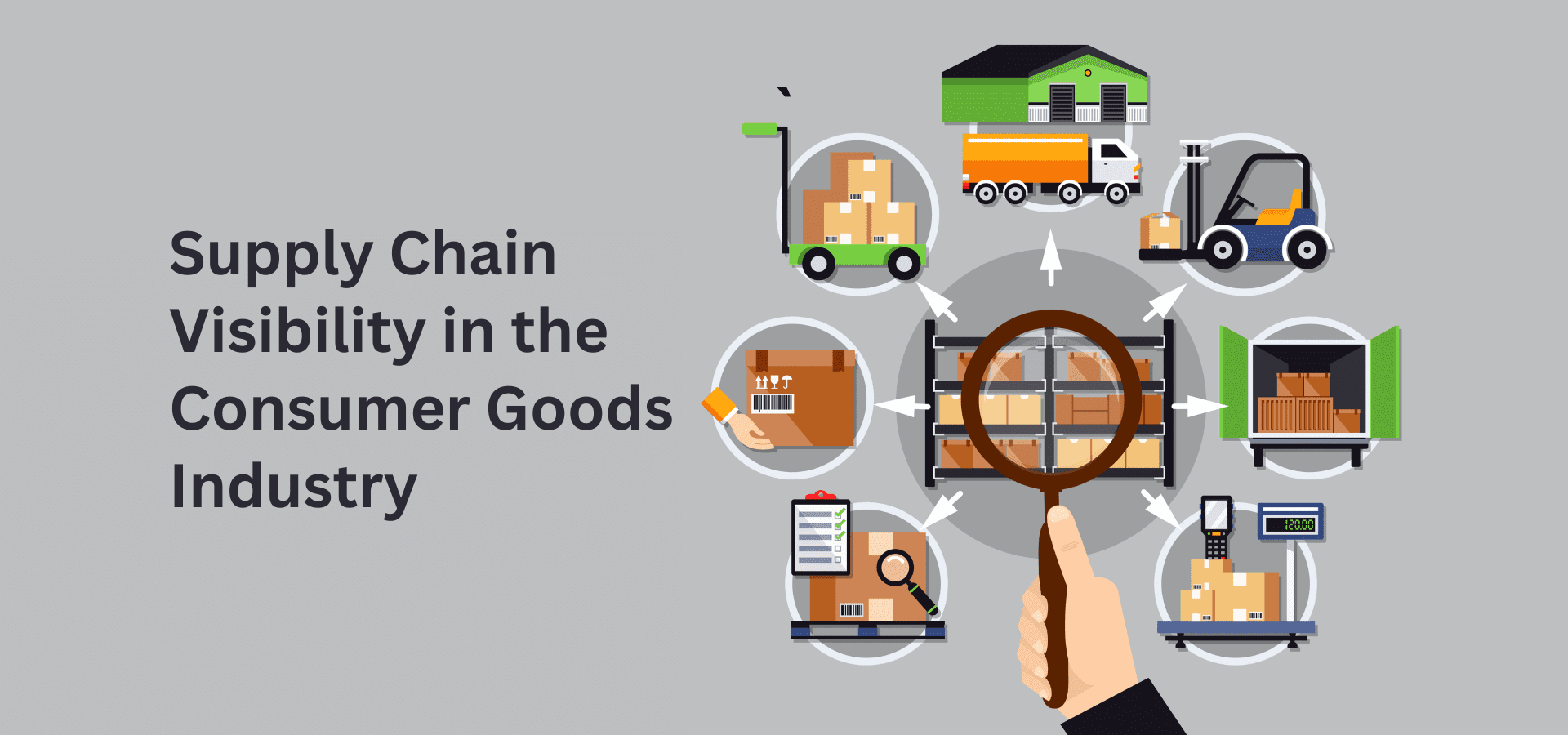 Supply Chain Visibility in the Consumer Goods Industry - Phitomas