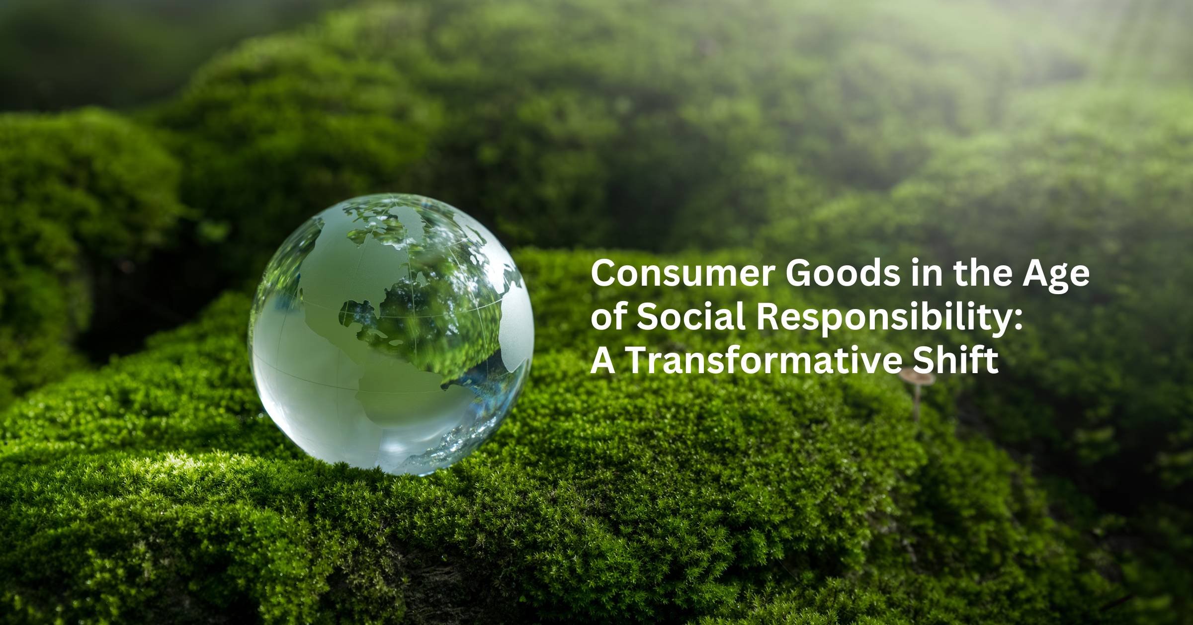 Consumer Goods in the Age of Social Responsibility: A Transformative ...