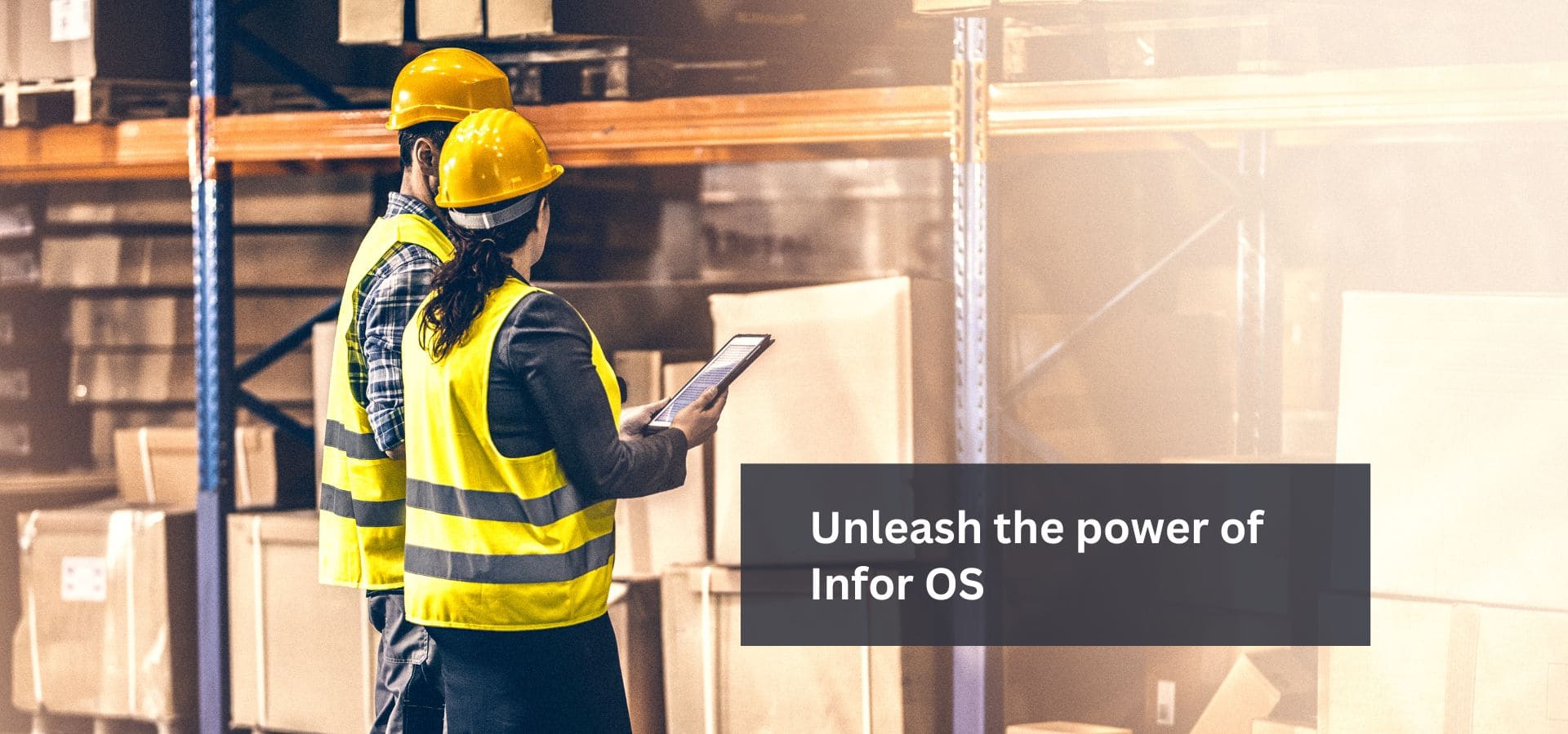 Infor OS Cloud Integration Platform | Phitomas Digital Solutions